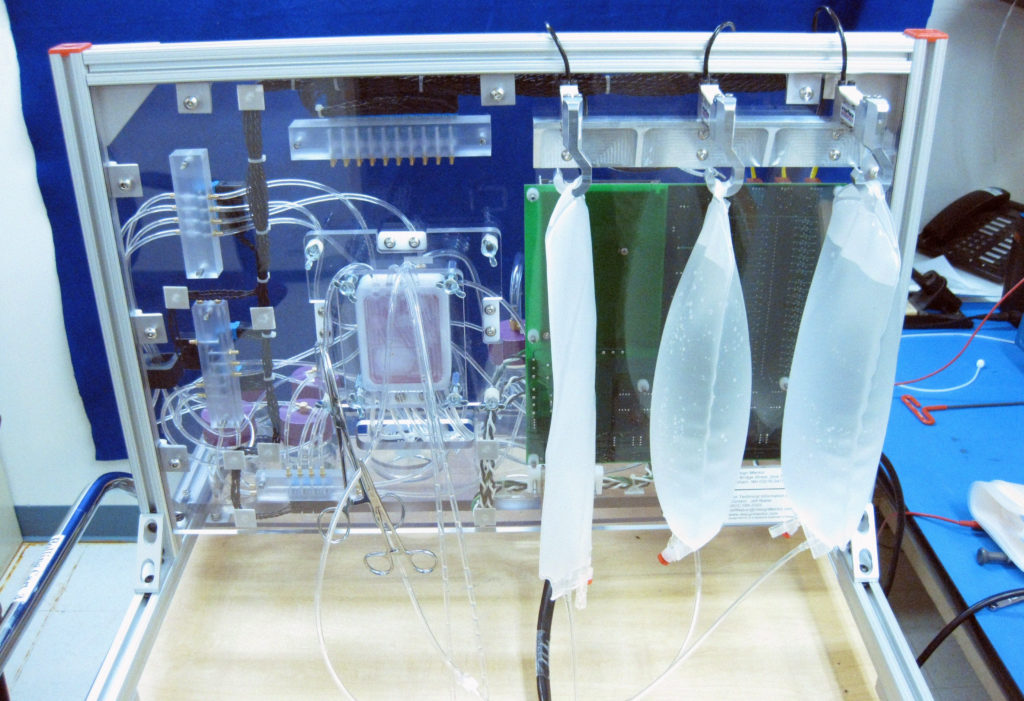 Boston Technology Innovation | Manta Product Development